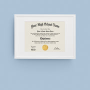 Buy Custom Diplomas and Transcripts | One Day Diplomas